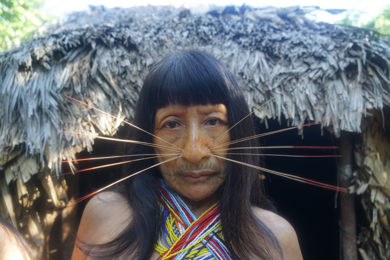 Matses Expedition 17 days - Trekaltitude